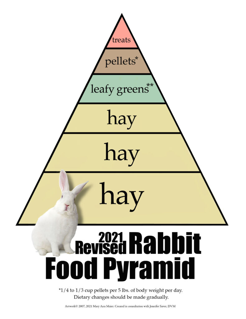 Home - Long Island Rabbit Rescue Group